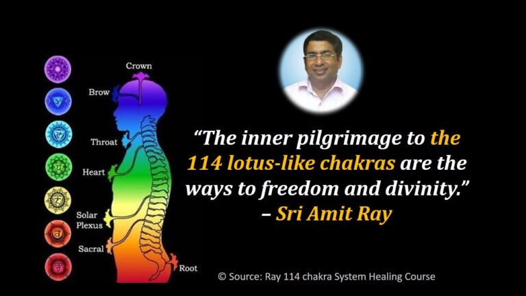 Full Body 114 Chakras Map